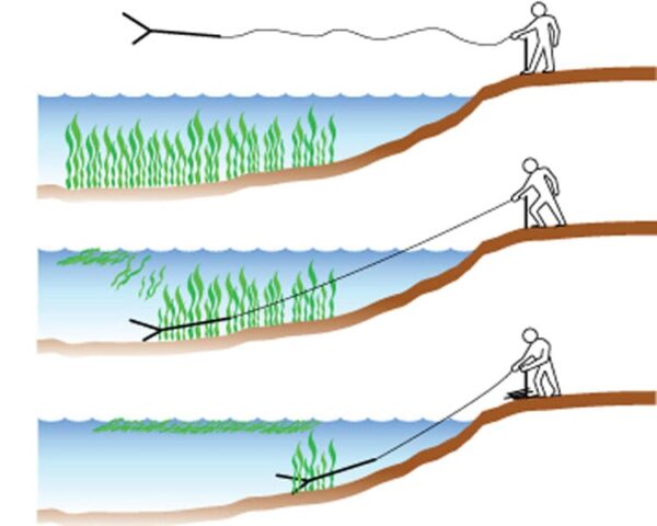Aquatic Weed Razers – Aquatic Technologies