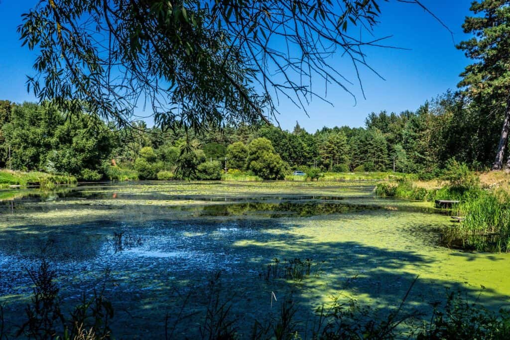 Phosflow – Aquatic Technologies